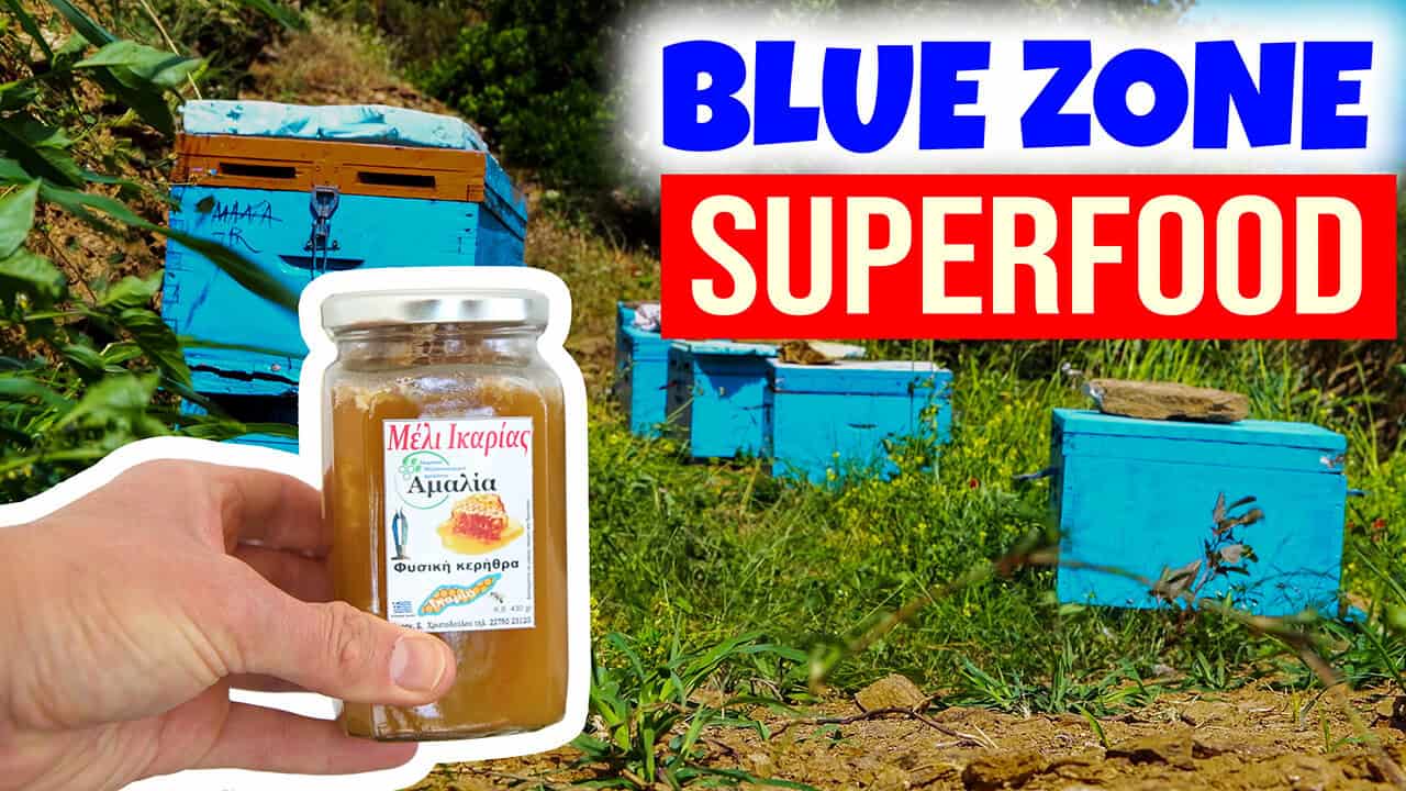Ikaria’s Anama Honey Review | Blue Zone Longevity Superfood - Blokhin Films